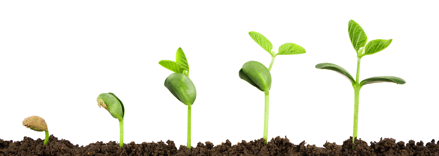 Corporate Partnership - Encore Consultants